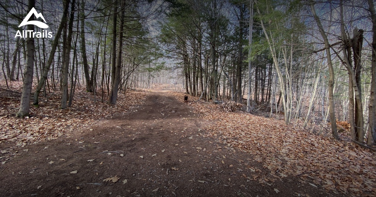 Best hikes and trails in Howard Hill Conservation Area | AllTrails