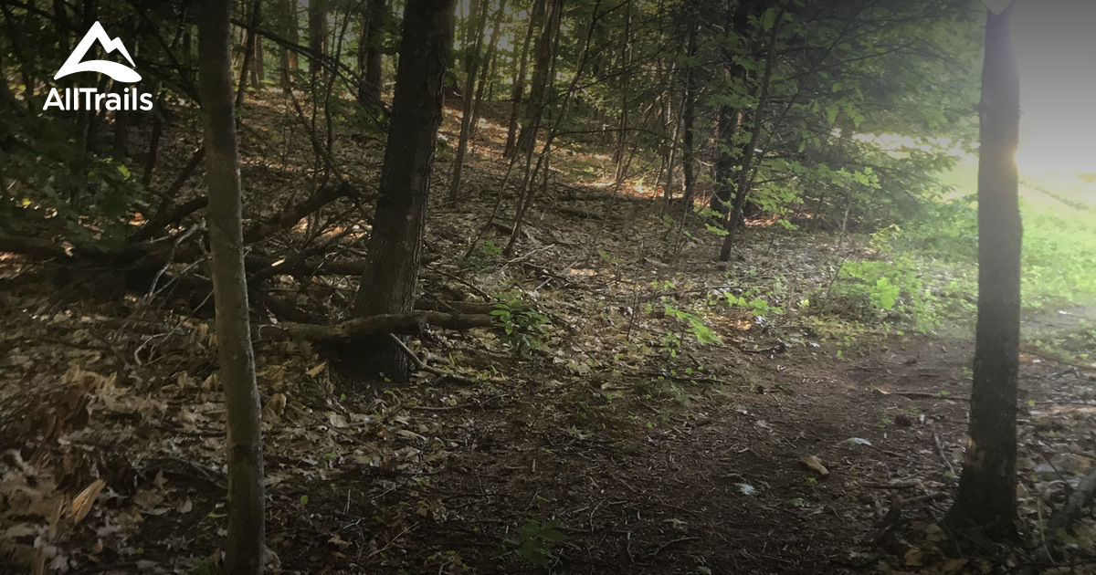 Best hikes and trails in Mayberry Hill Preserve | AllTrails