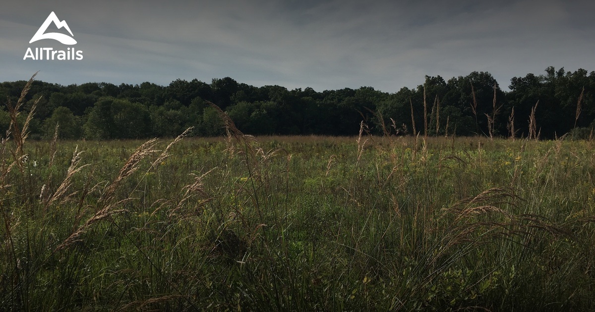 Best hikes and trails in Tempe Wick Reserve | AllTrails