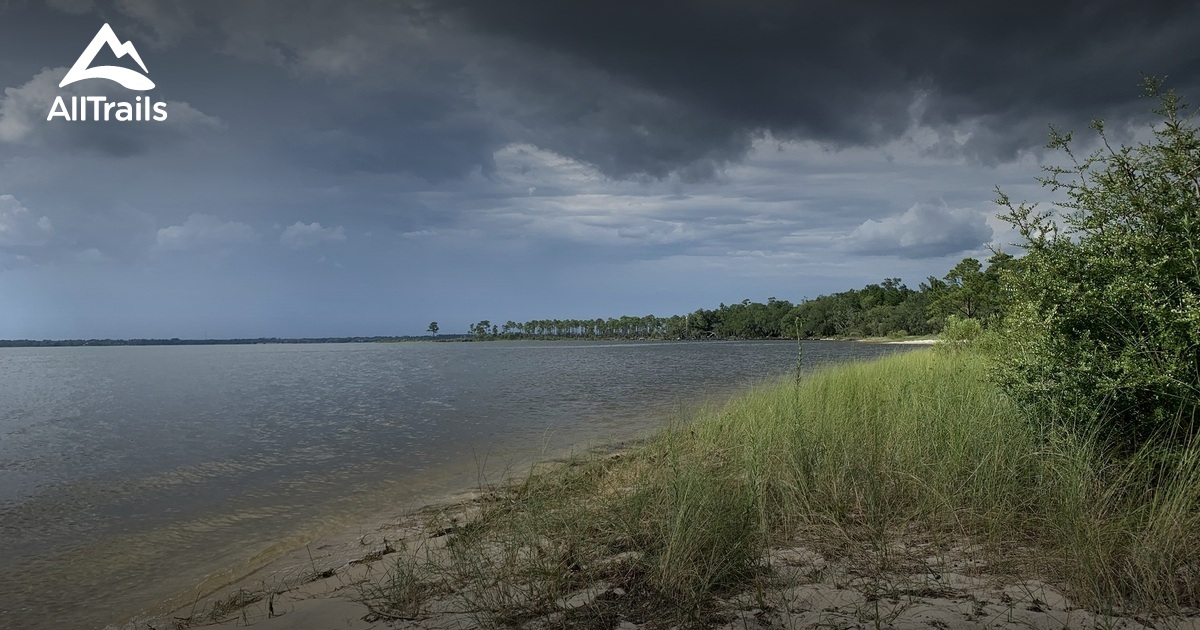 Najlepsze szlaki leśne w: Escribano Point Wildlife Management Area ...