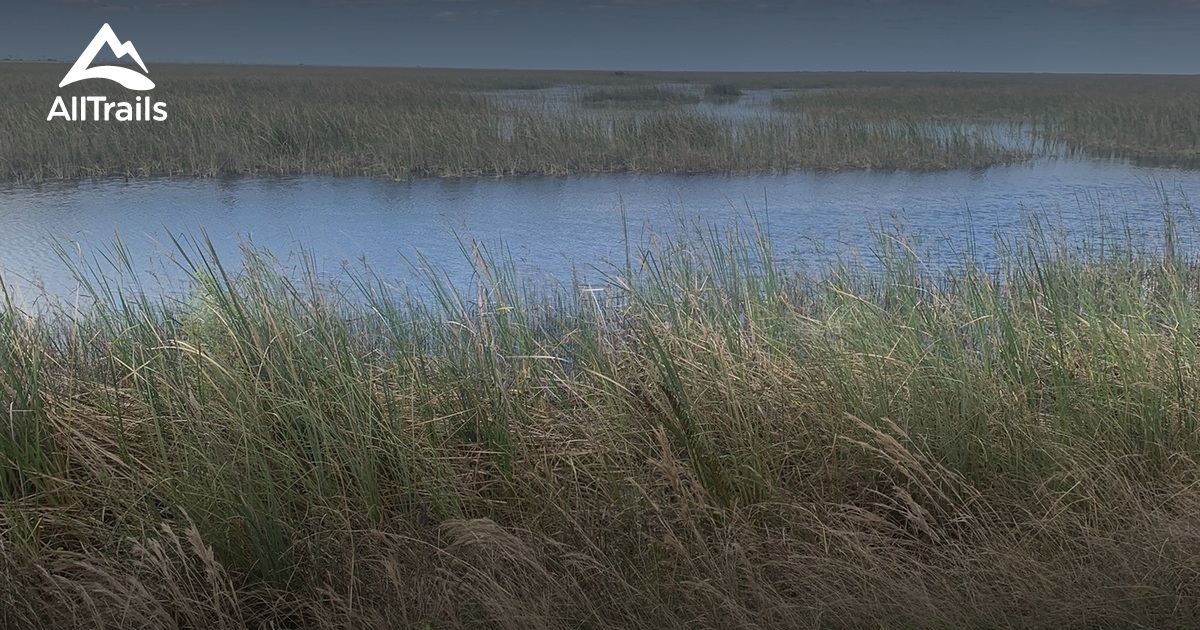Best hikes and trails in Water Conservation Area 2B | AllTrails
