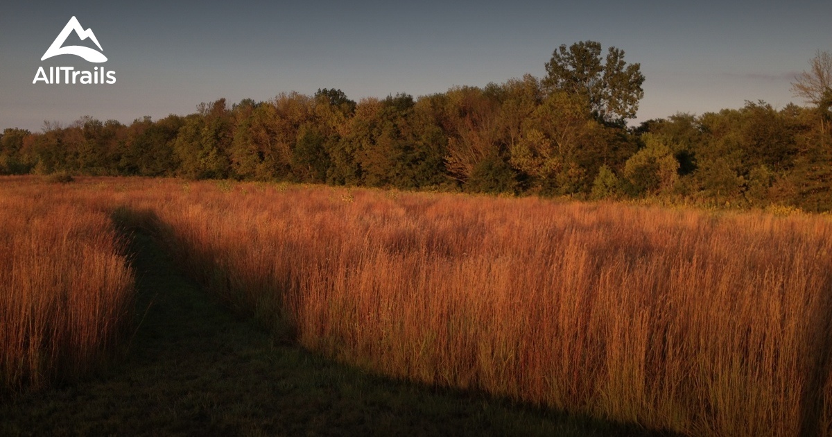 Best hikes and trails in Turkeyfoot Preserve | AllTrails