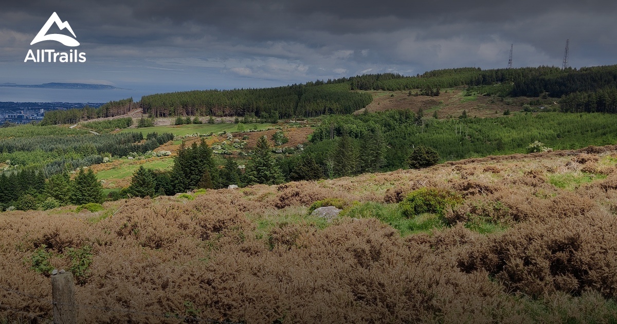Best hikes and trails in Kilmashogue Forest | AllTrails