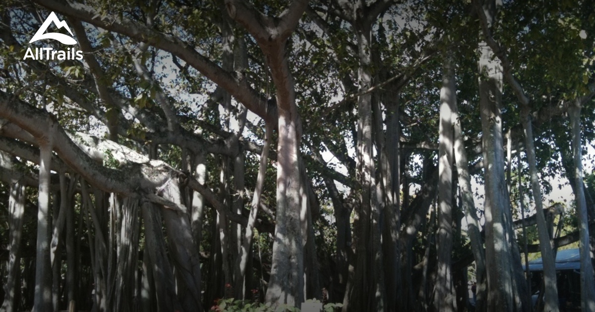 Best hikes and trails in Edison Ford Winter Estates | AllTrails