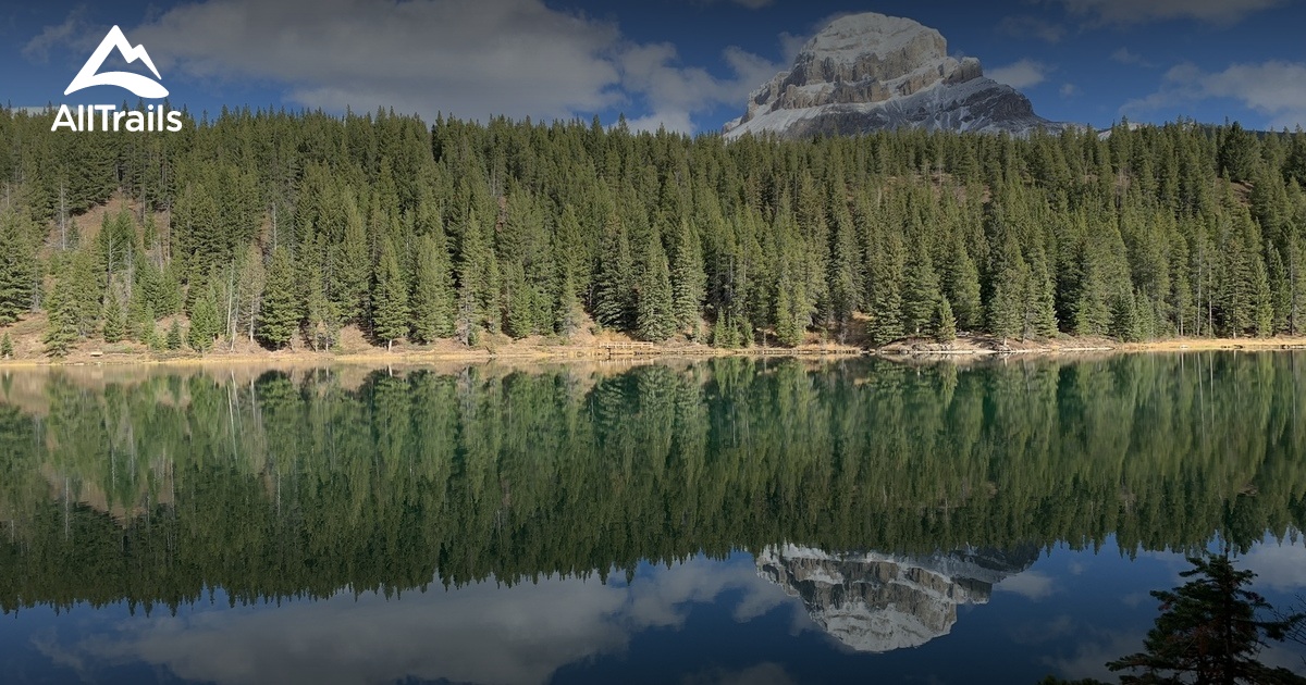 Best forest trails in Allison/Chinook Public Land Use Zone | AllTrails