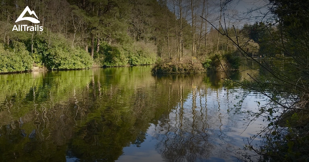 Best hikes and trails in Curragh Wood | AllTrails