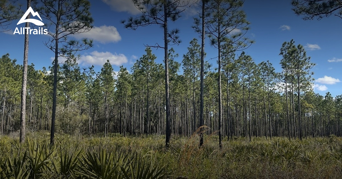 Best hikes and trails in Santa Fe Swamp Wildlife and Environmental Area ...
