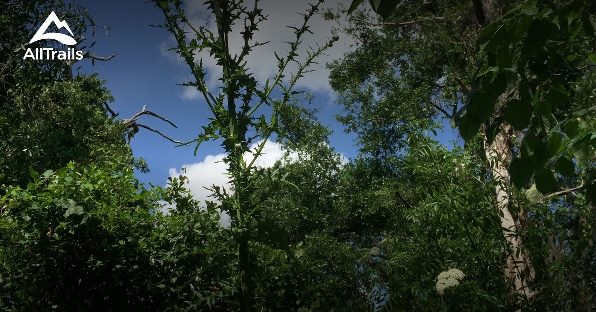 Best hikes and trails in Crowley Museum and Nature Center | AllTrails