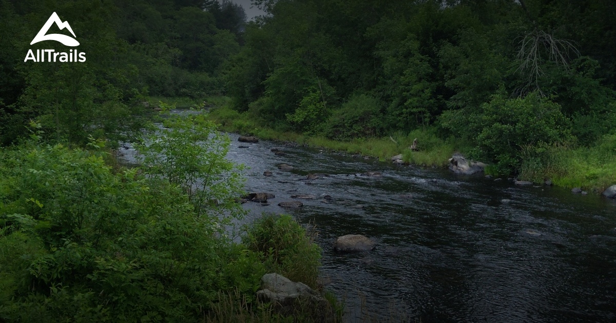 Best hikes and trails in Payson Park | AllTrails