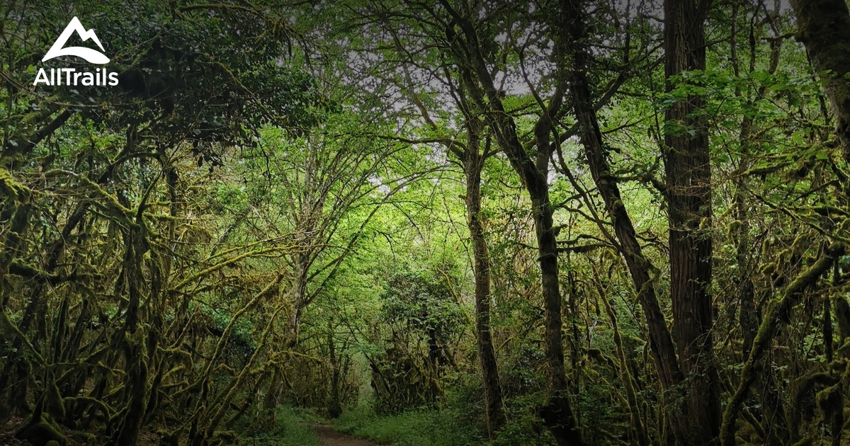 De beste redelijk uitdagende routes in Parc naturel de la Combe à la ...
