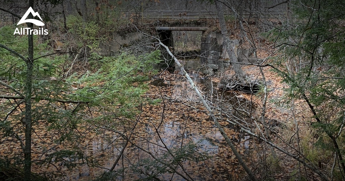 Best hikes and trails in Arundel Community Trails | AllTrails