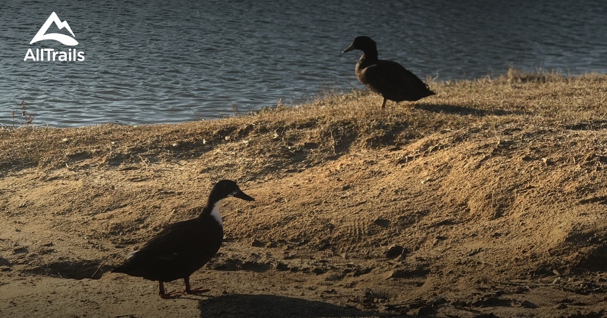 Best hikes and trails in Meridian Park | AllTrails
