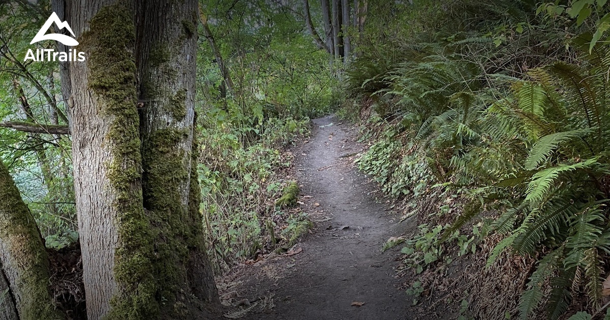 Best hikes and trails in Japanese Gulch Park | AllTrails