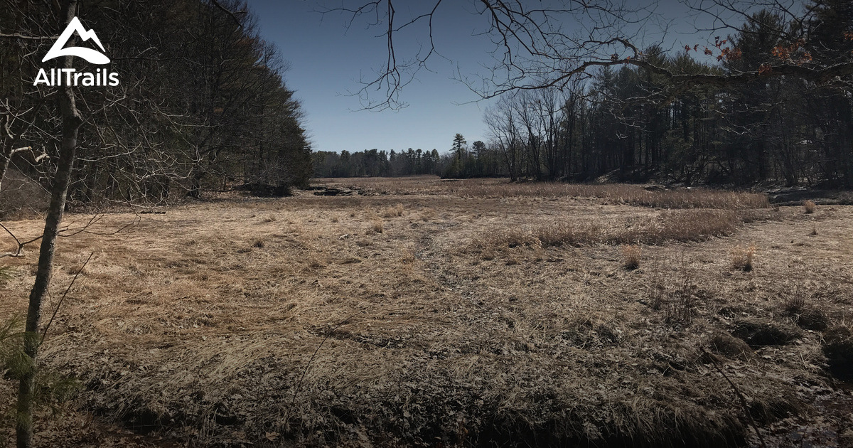 Best hikes and trails in Near Point Preserve | AllTrails