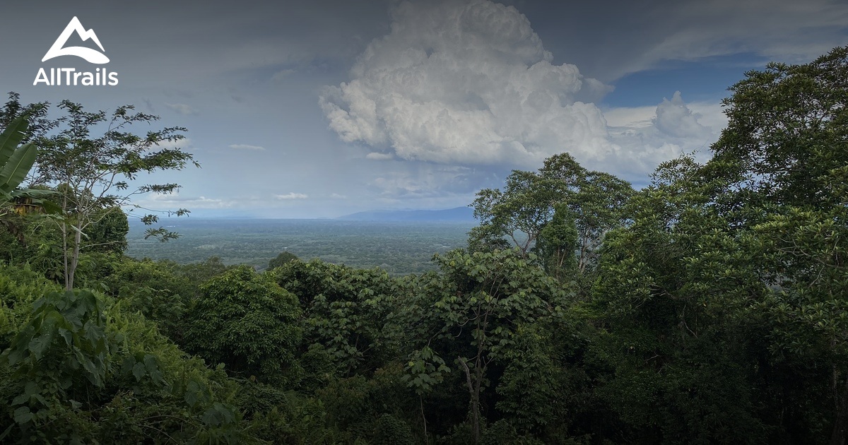 Best trail running trails in Bukit Mas Forest Reserve | AllTrails