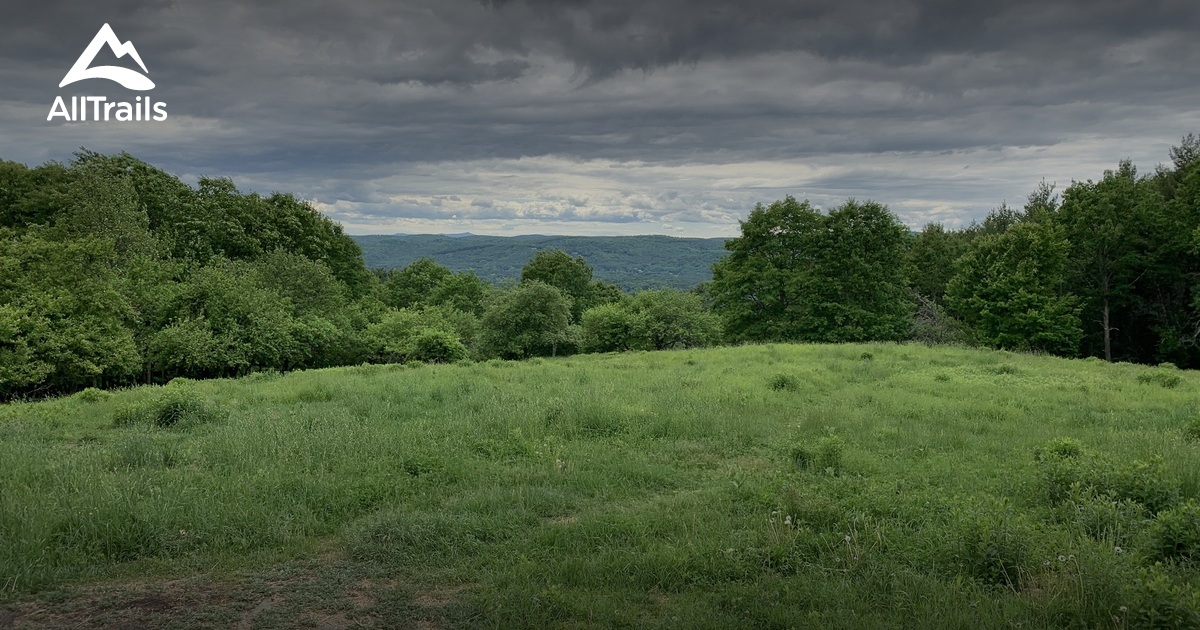 Best short trails in Balch Hill Natural Area | AllTrails