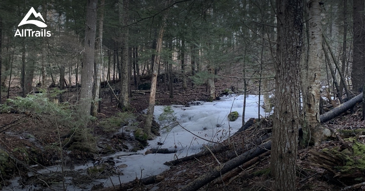 Best hikes and trails in Knowlton-Swanson-Stephenson Preserve | AllTrails