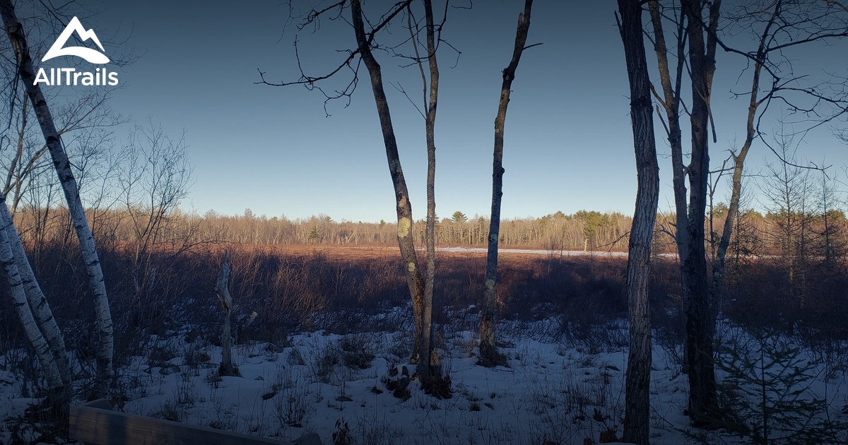 Best hikes and trails in Rines Wetlands and Wildlife Preserve | AllTrails