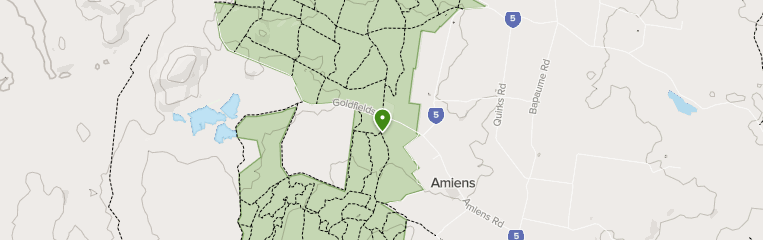 Best Hikes and Trails in Passchendaele State Forest | AllTrails