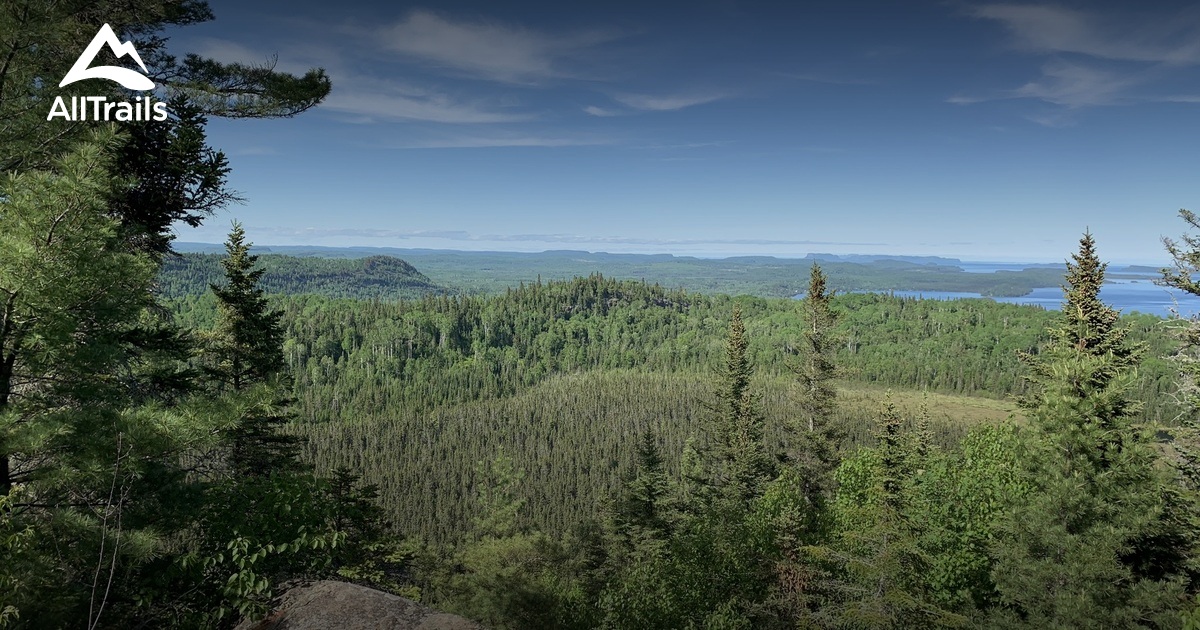 Best hikes and trails in Big Trout Bay Nature Preserve | AllTrails