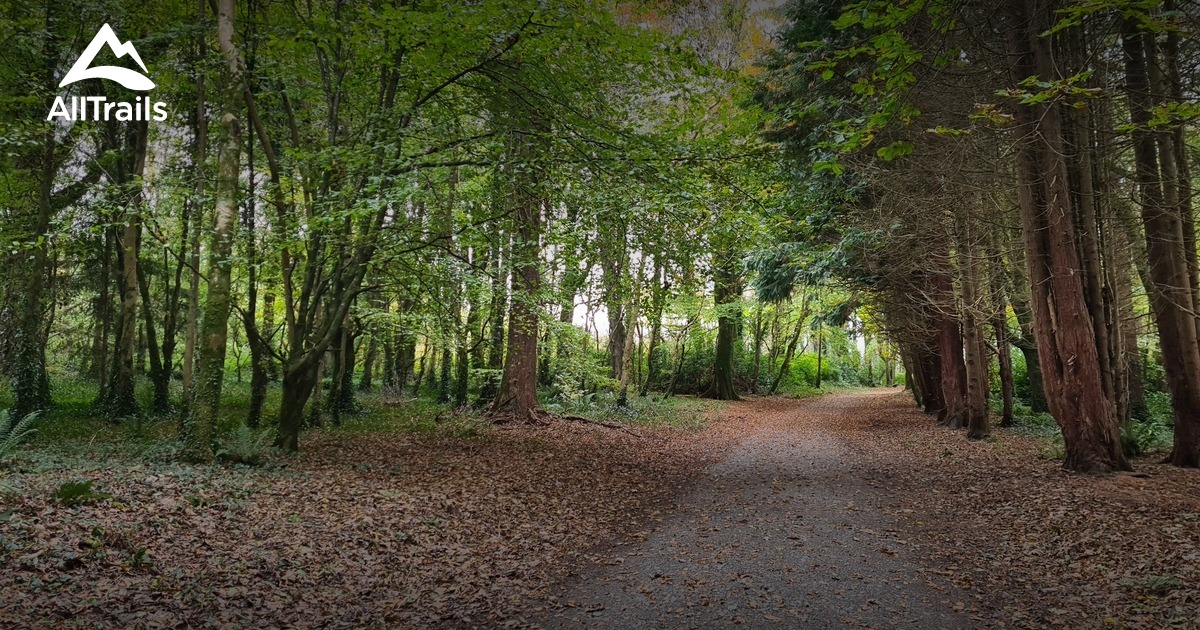 Best hikes and trails in Kilrush | AllTrails