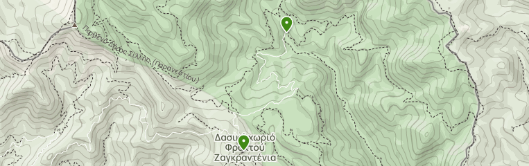 Best Hikes and Trails in Virgin Forest of Silli | AllTrails