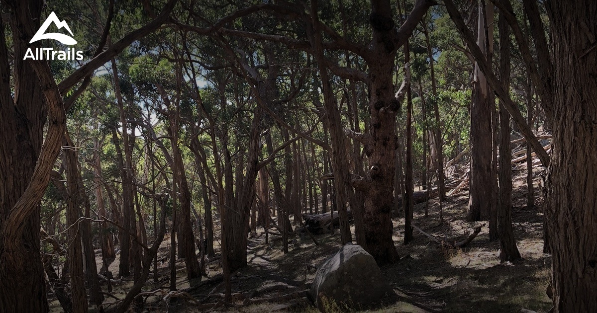10 Best hikes and trails in Mount Alexander Regional Park | AllTrails