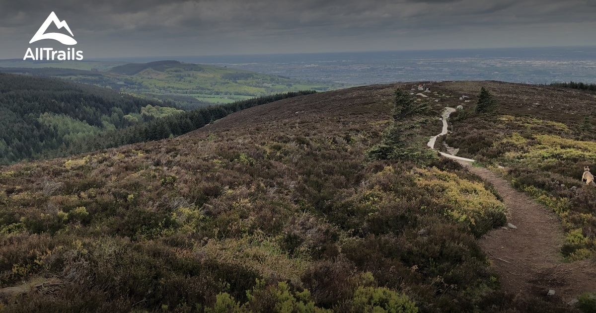 Best hikes and trails in Cruagh Wood | AllTrails