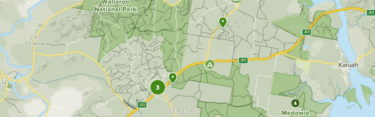 Best Hikes and Trails in Wallaroo State Forest | AllTrails