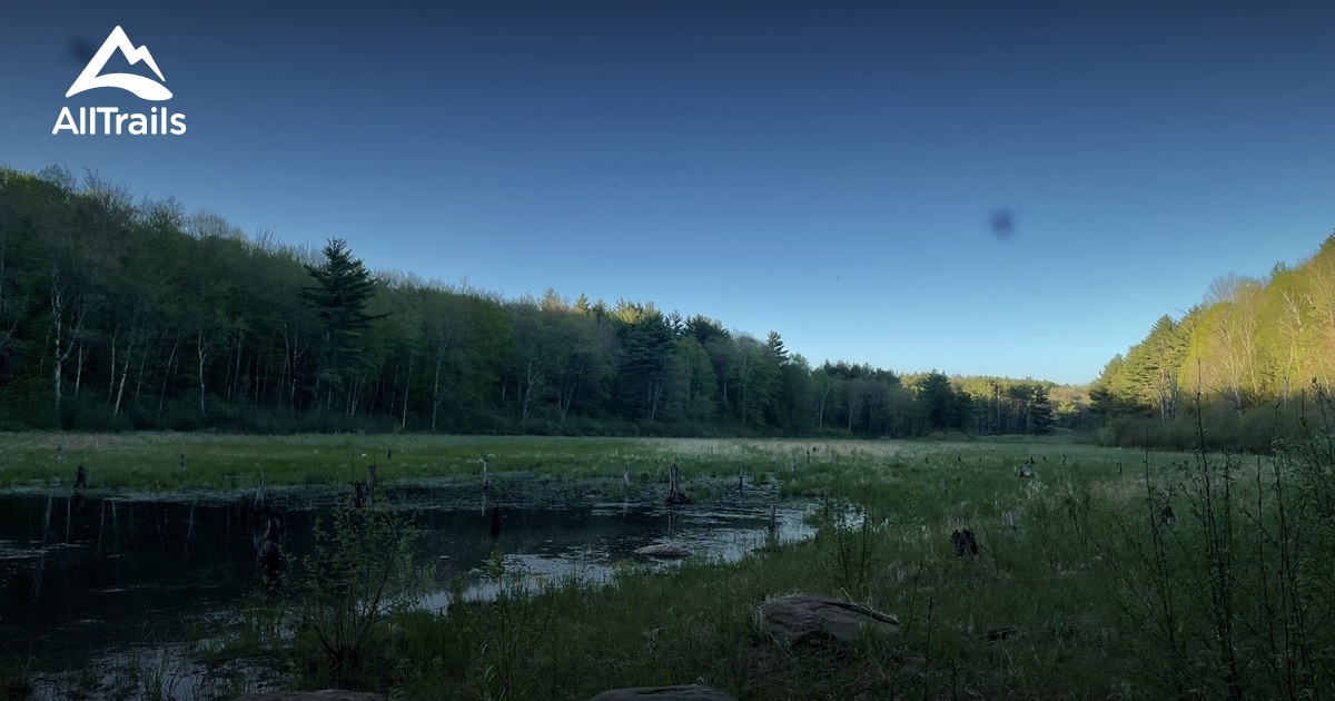 Best hikes and trails in Milton Town Forest | AllTrails