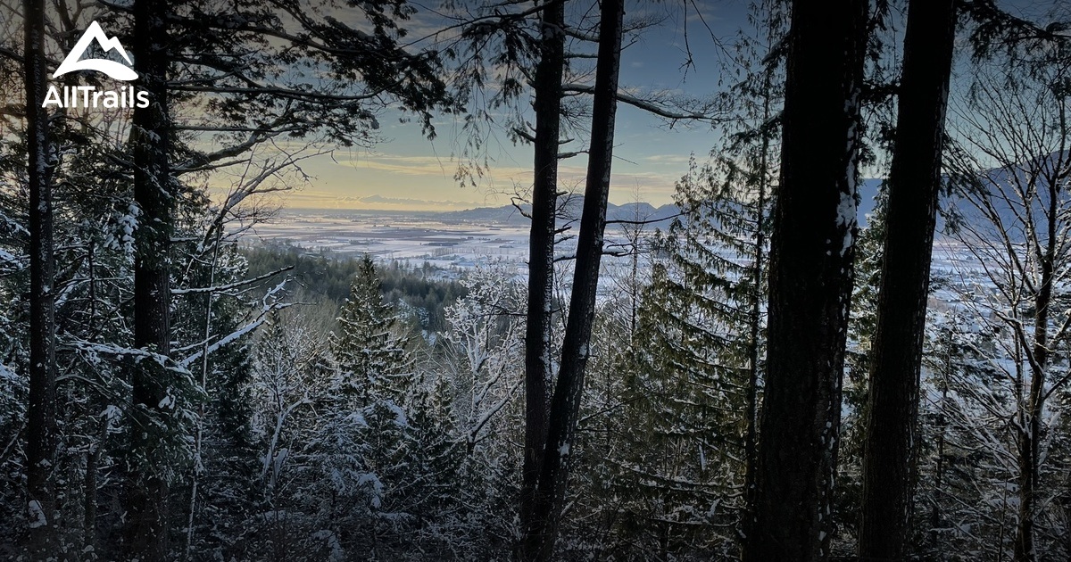 10 Best hikes and trails in Vedder Mountain Interpretive Forest | AllTrails