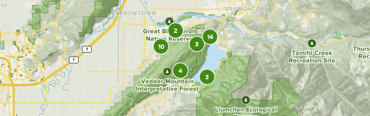 Vedder Mountain Interpretive Forest: Die besten Routen in 2023 | AllTrails