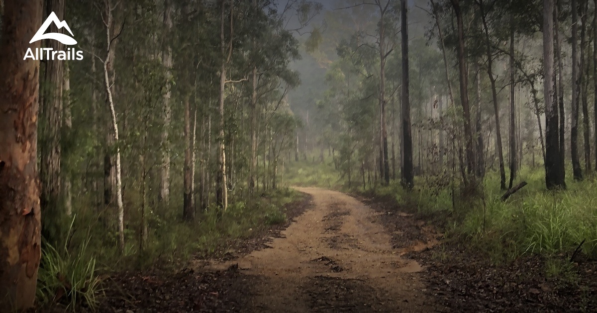 Best hikes and trails in Glenreagh Recreation Reserve | AllTrails