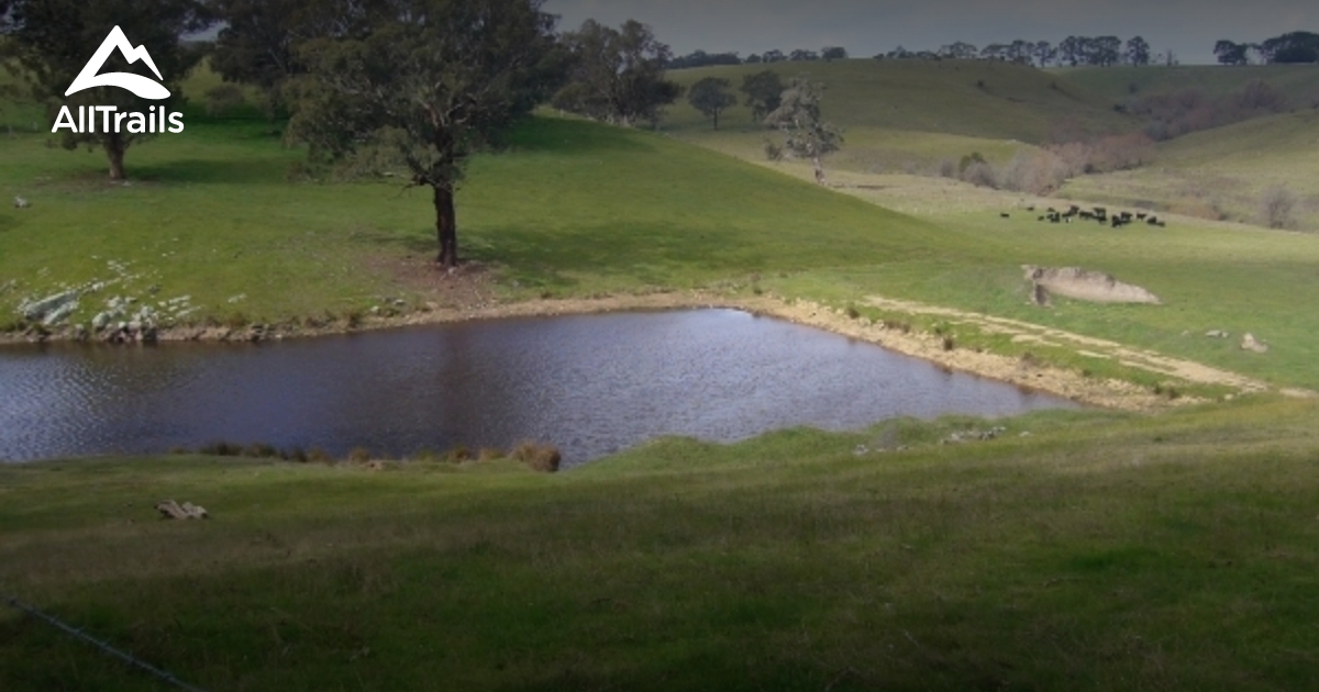 Best hikes and trails in Taradale Nature Conservation Reserve | AllTrails