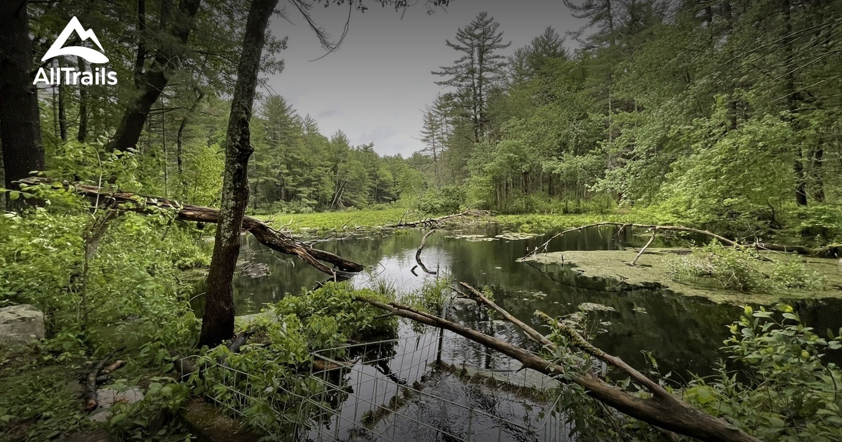 Best hikes and trails in Thanksgiving Ground Town Forest | AllTrails