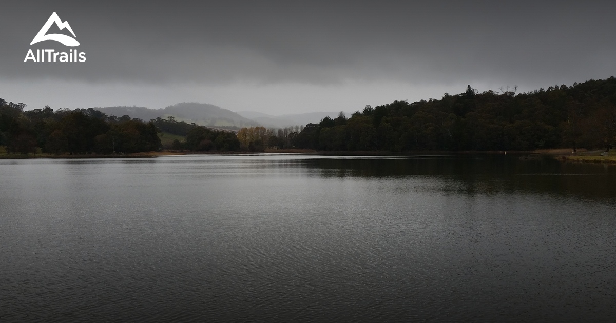 Best hikes and trails in Lake Canobolas Reserve | AllTrails
