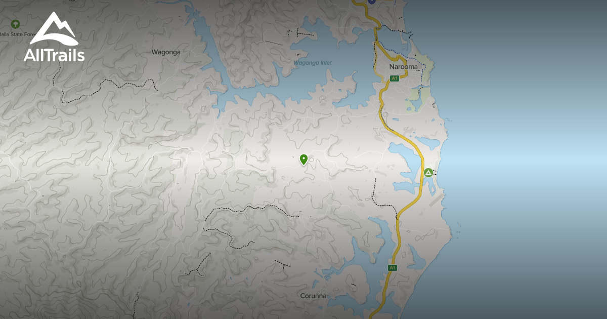 Bodalla State Forest: Die besten Routen zum Wandern | AllTrails