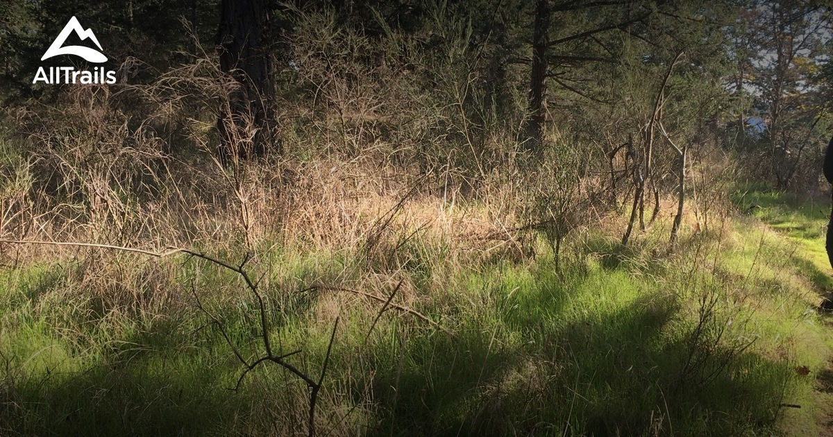 Best hikes and trails in Matthews Point Regional Park | AllTrails