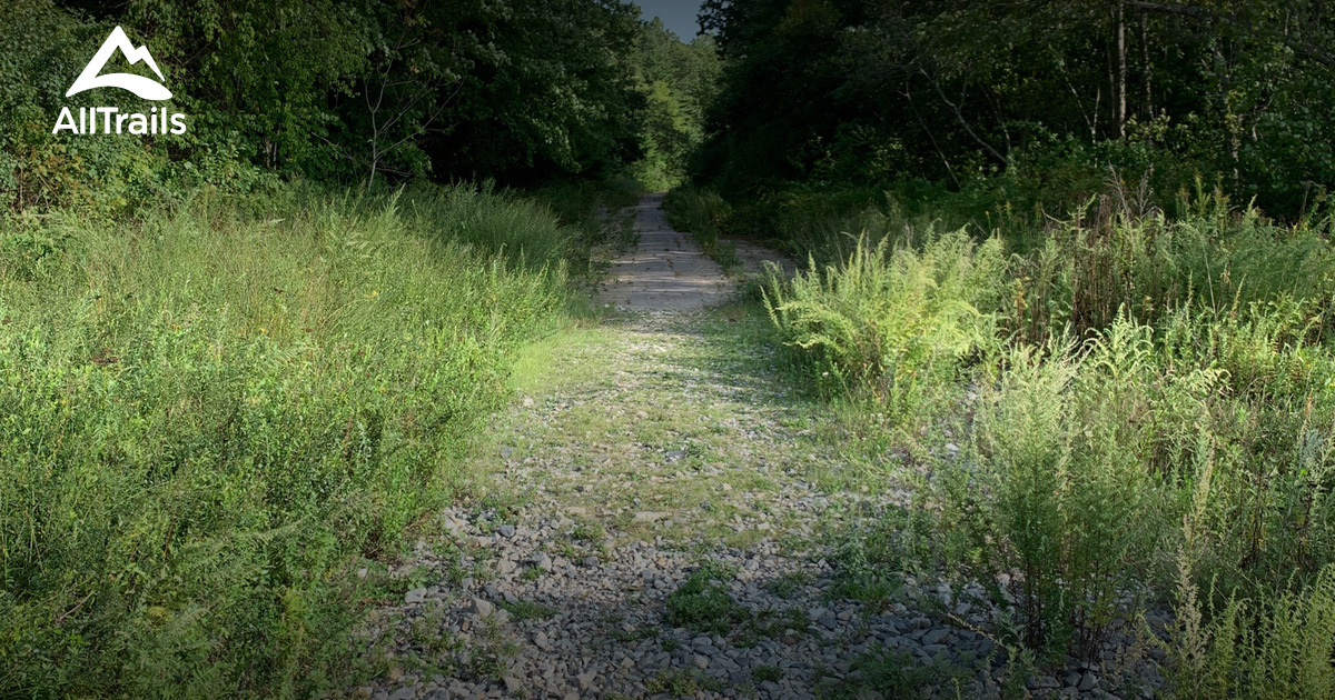 Bästa enkla lederna i Holbrook Town Forest | AllTrails