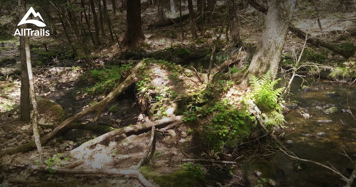 Best hikes and trails in Graves Farm Wildlife Sanctuary | AllTrails