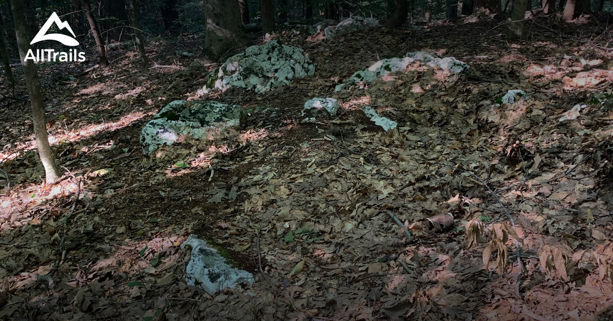 Best short trails in Upper Bantam River Preserve | AllTrails