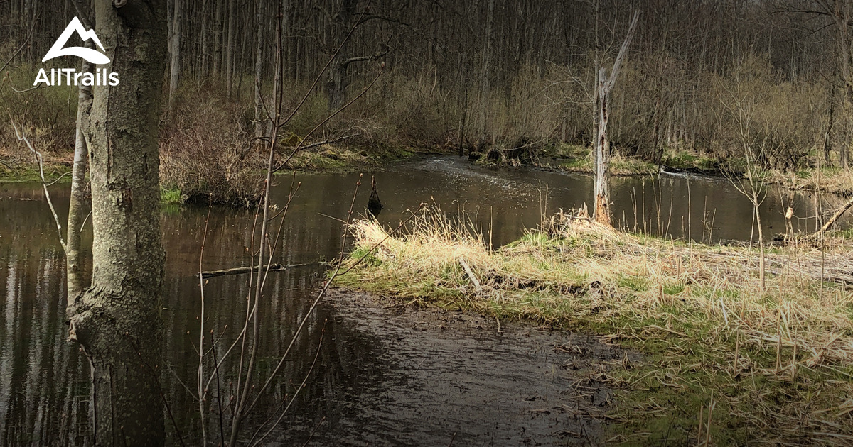 Best hikes and trails in Sherburne Road Park | AllTrails