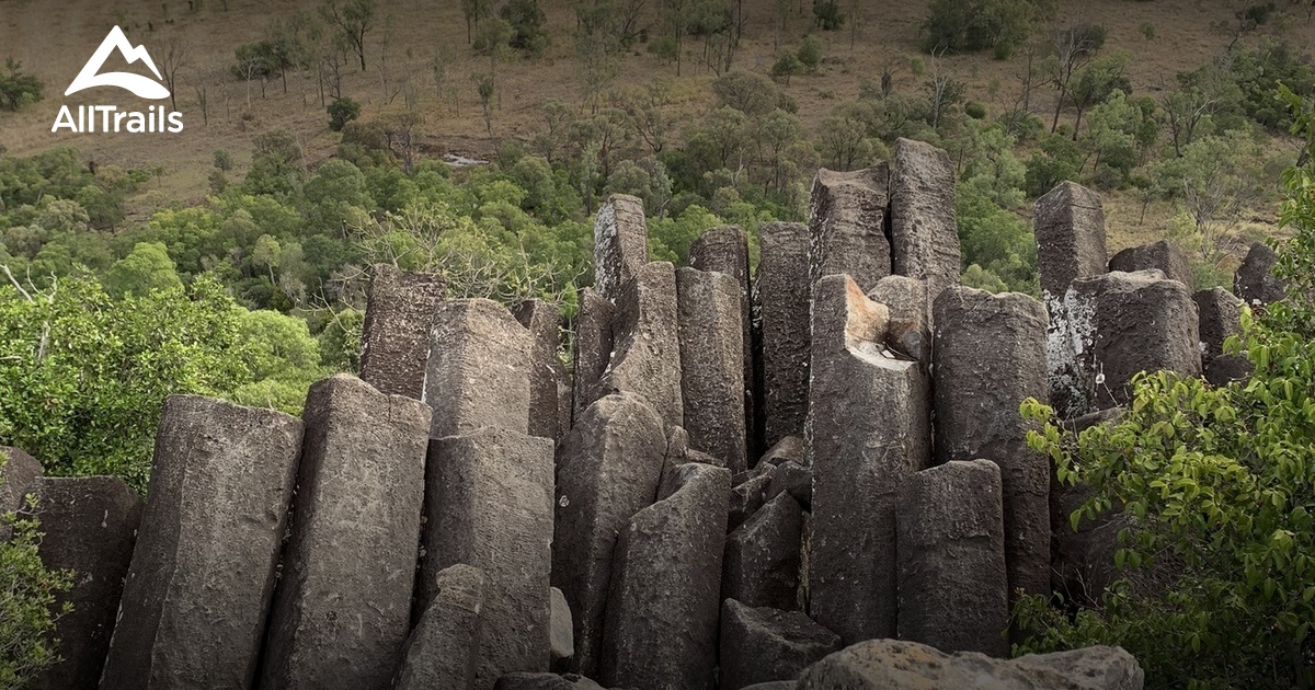 Best hikes and trails in Mount Scoria Conservation Park | AllTrails