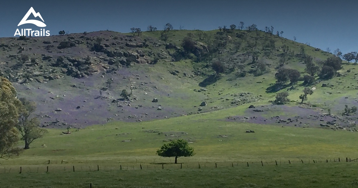 Best hikes and trails in Seven Creeks Park | AllTrails