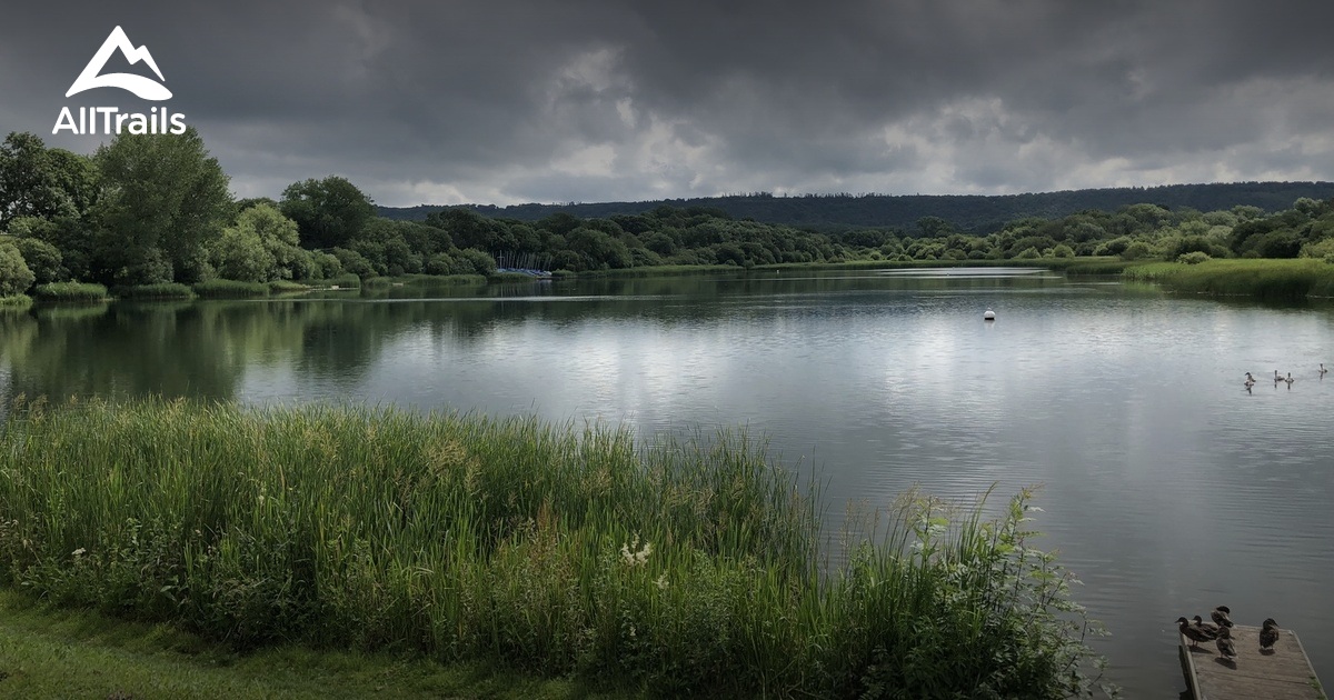 Best walking trails in Weston Turville Reservoir | AllTrails