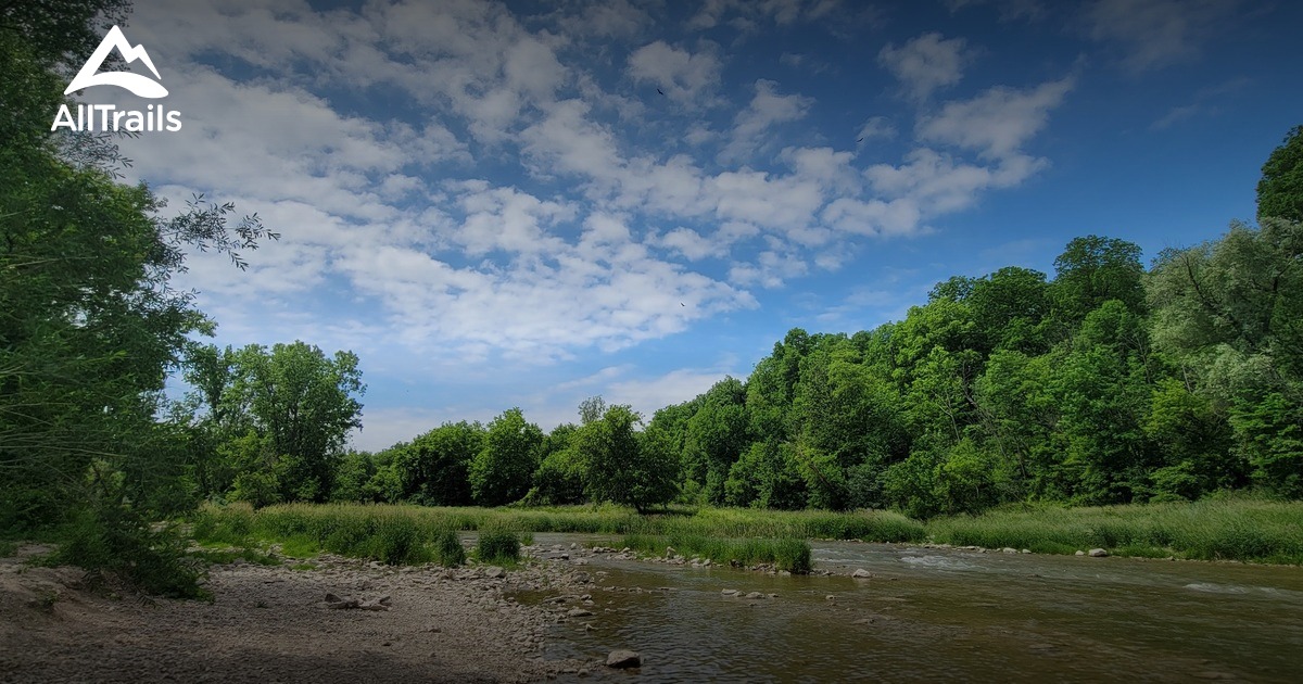 Best forest trails in Barkers Bush | AllTrails