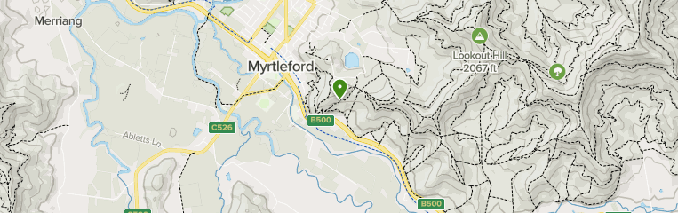 Best Hikes and Trails in Myrtleford Plantation | AllTrails
