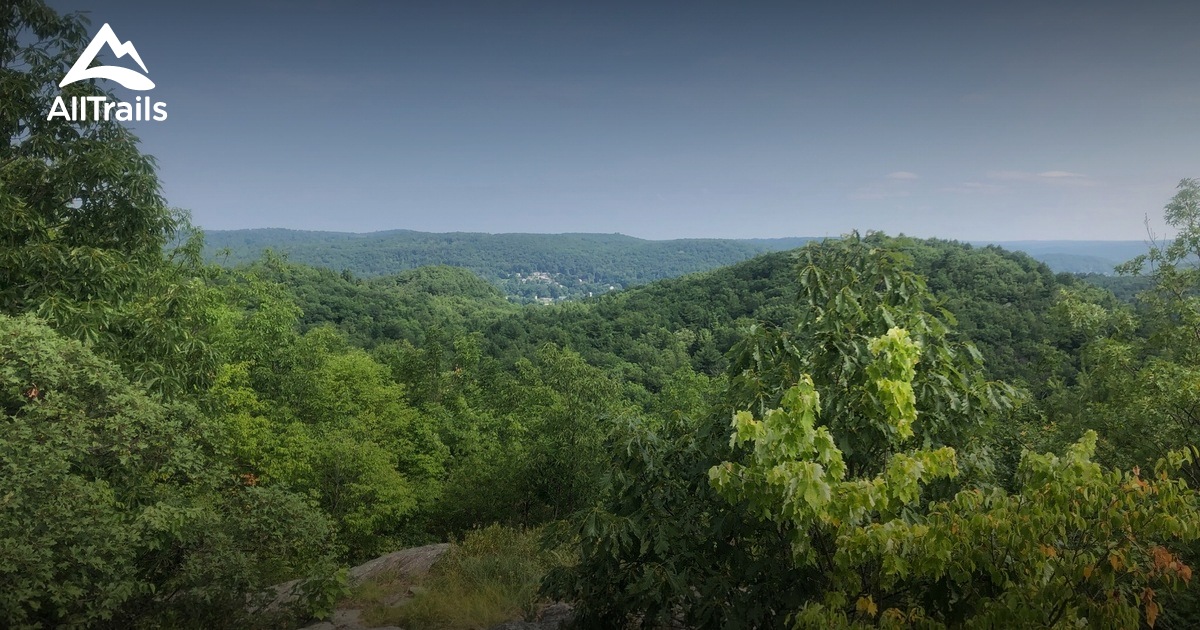 Best forest trails in Mattatuck State Forest | AllTrails