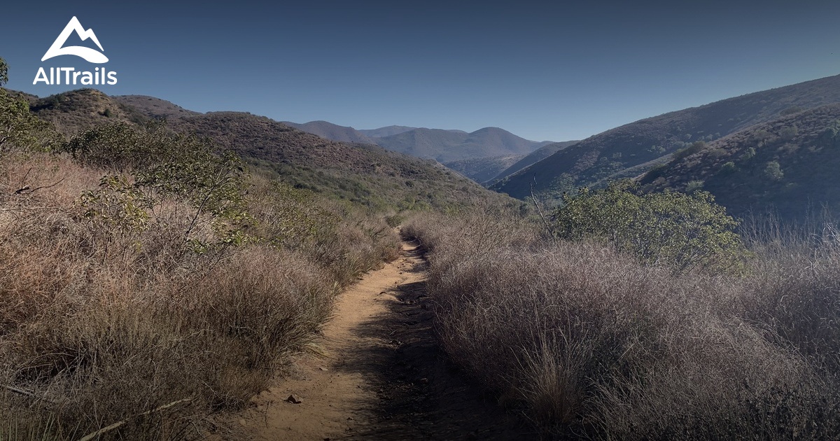 Best mountain biking trails in Boney Mountain State Wilderness | AllTrails