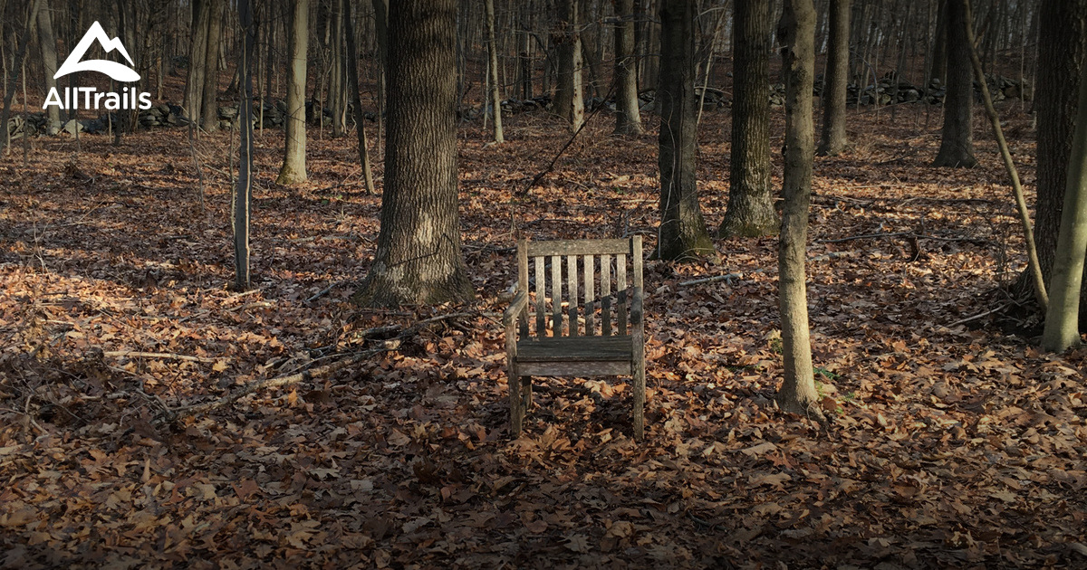 Best hikes and trails in Halmi Preserve | AllTrails